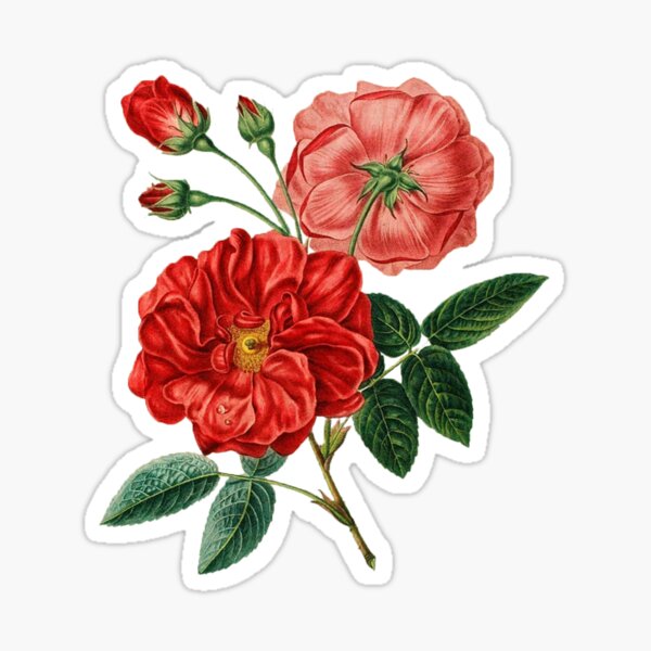"flower sticker" Sticker for Sale by ratstickerz | Redbubble