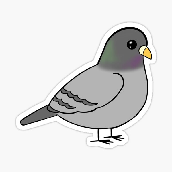 "Cute Pigeon" Sticker for Sale by AmeliaXanthe | Redbubble