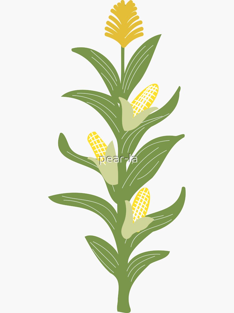 "Corn Stalk" Sticker for Sale by pear-la | Redbubble