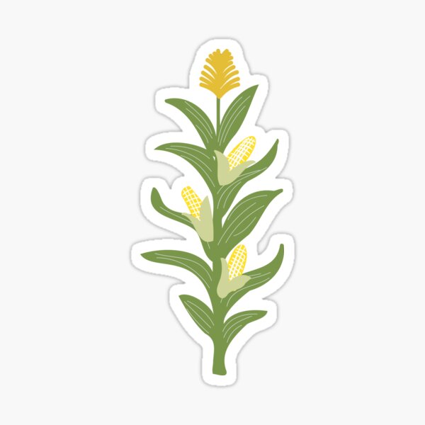 "Corn Stalk" Sticker for Sale by pear-la | Redbubble