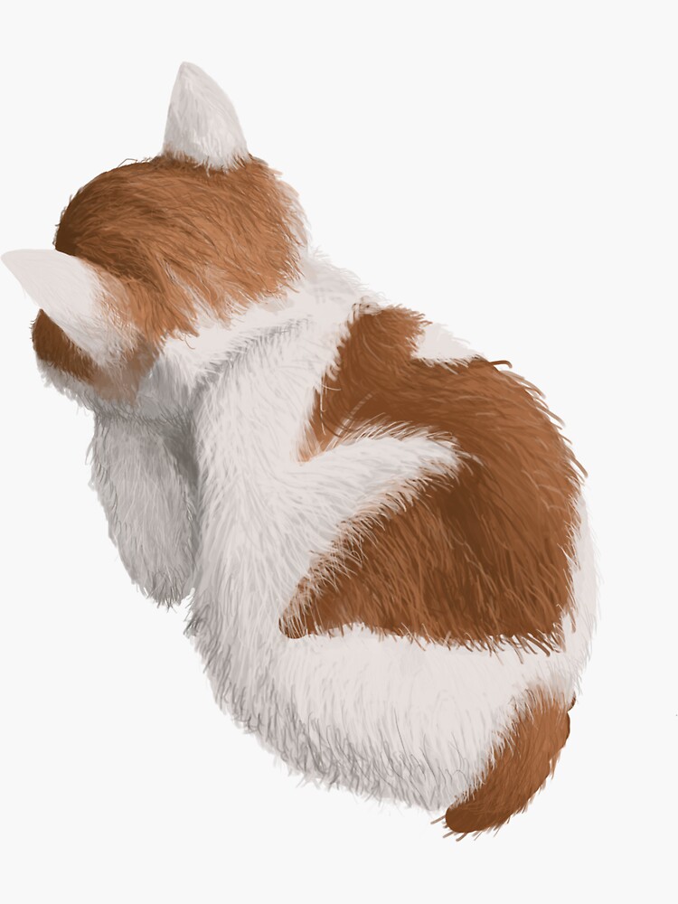 "I'm angy cat meme" Sticker for Sale by feelingfractal | Redbubble