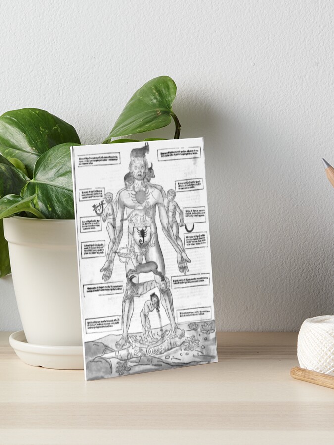 "ZODIAC MAN / Body Anatomy of All 12 Signs - Old School Astrology" Art ...