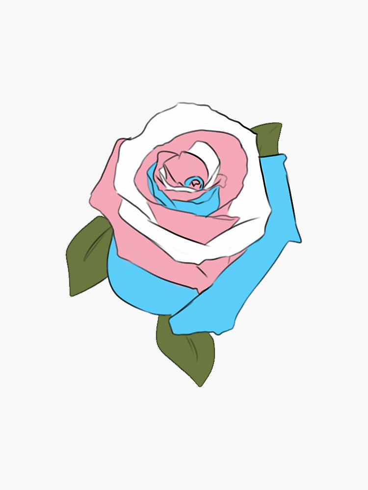 "Trans pride rose" Sticker by sketchgirl16 | Redbubble