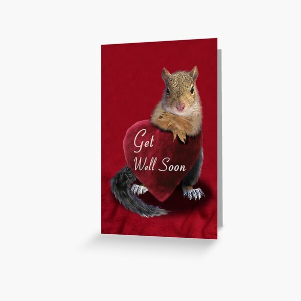 "Get Well Soon Squirrel" Greeting Card for Sale by jkartlife | Redbubble
