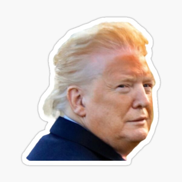 "Dump" Sticker for Sale by NeatMemes | Redbubble