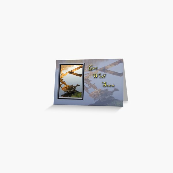 "Get Well Soon Fish" Greeting Card for Sale by jkartlife | Redbubble