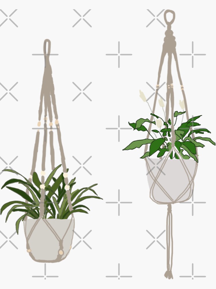 "hanging plants " Sticker for Sale by emiliep345 | Redbubble