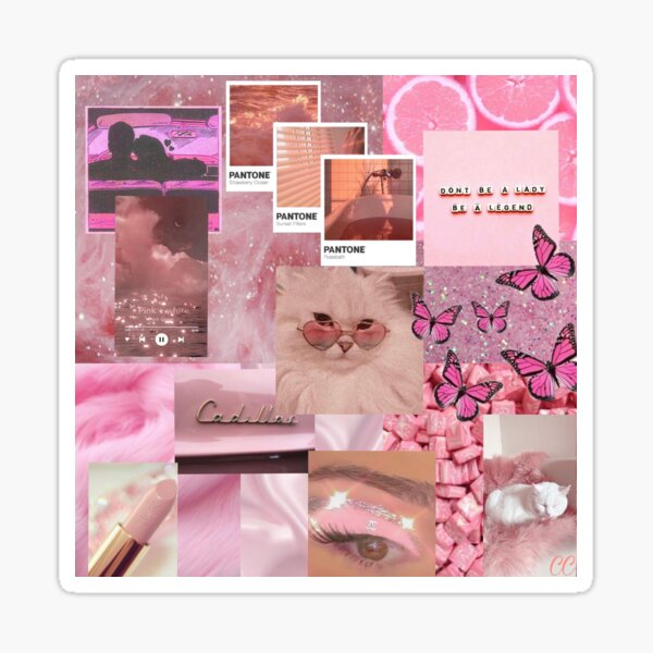 "Light Pink Aesthetic Collage" Sticker for Sale by Carolinejclark ...