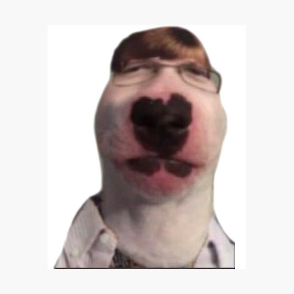 Lámina fotográfica «Educado y sofisticado meme del perro Walter» de ...