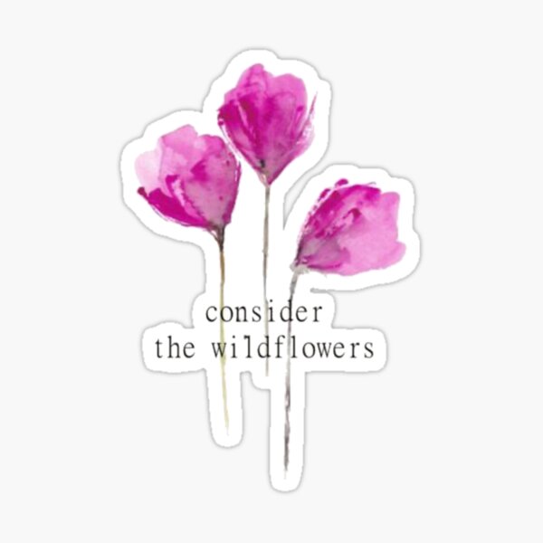 "wildflowers" Sticker for Sale by aestheticonlyyy | Redbubble