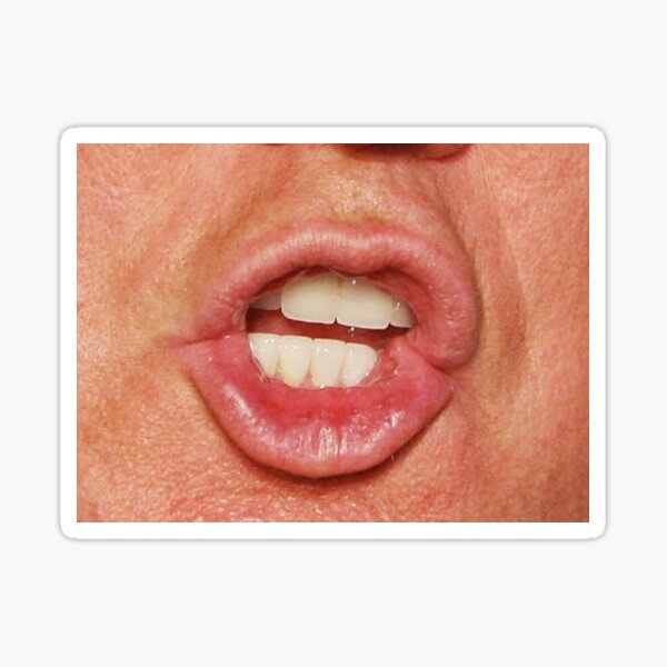 "Funny humor hilarious trump Donald trump mouth lips teeth political ...