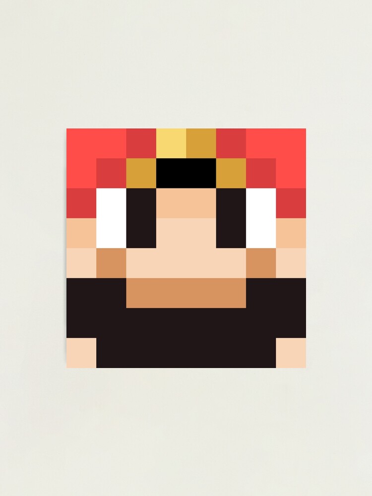 Sethbling Skin