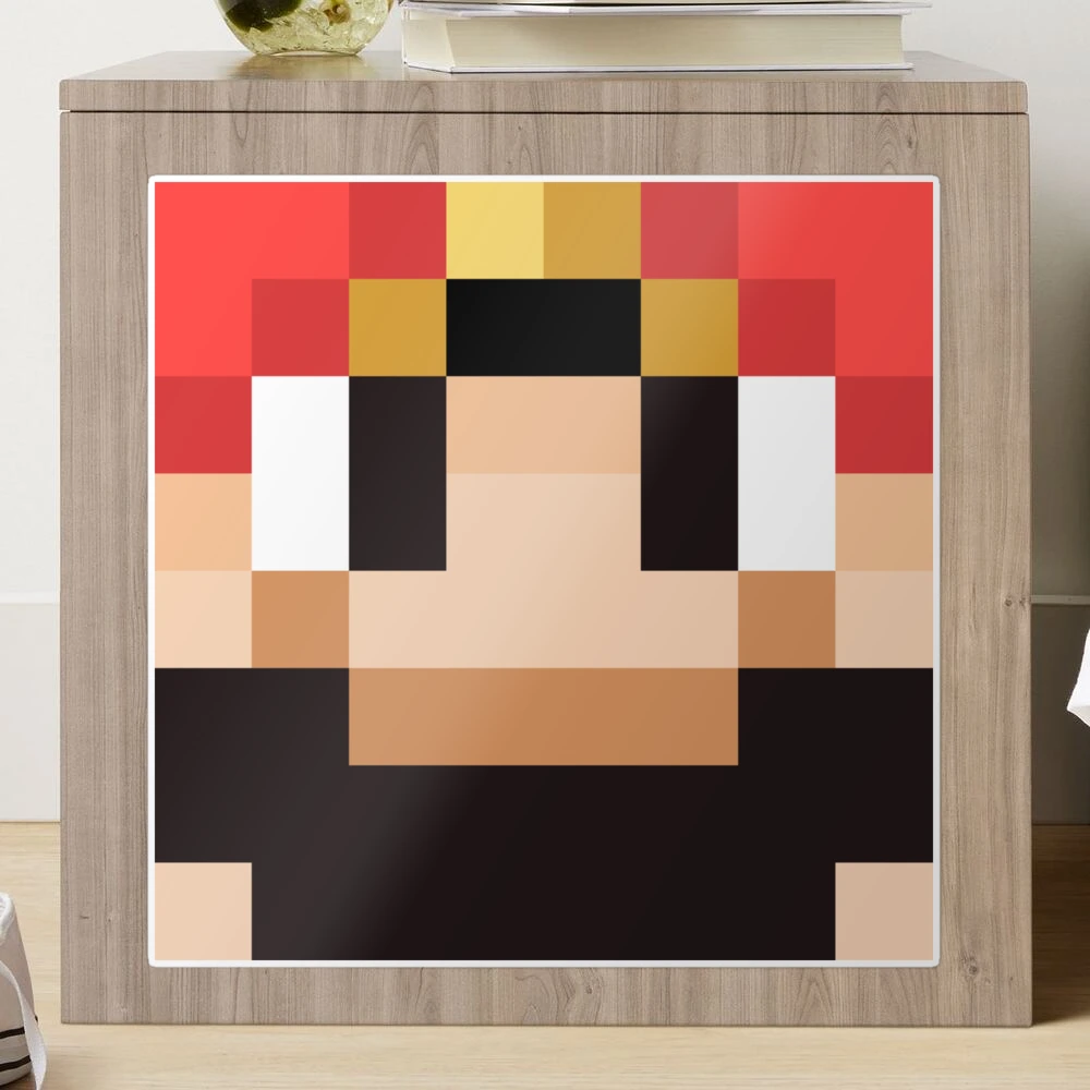 Sethbling Skin