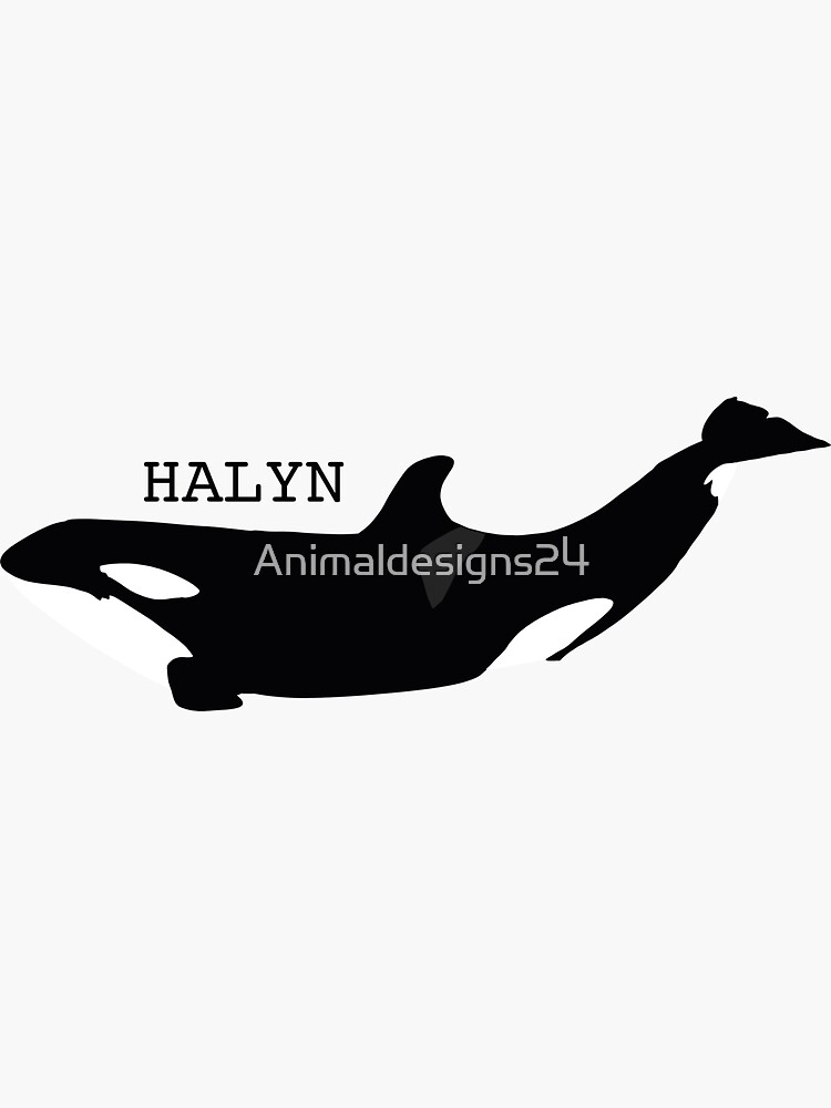 "HALYN the killer whale" Sticker for Sale by Animaldesigns24 | Redbubble