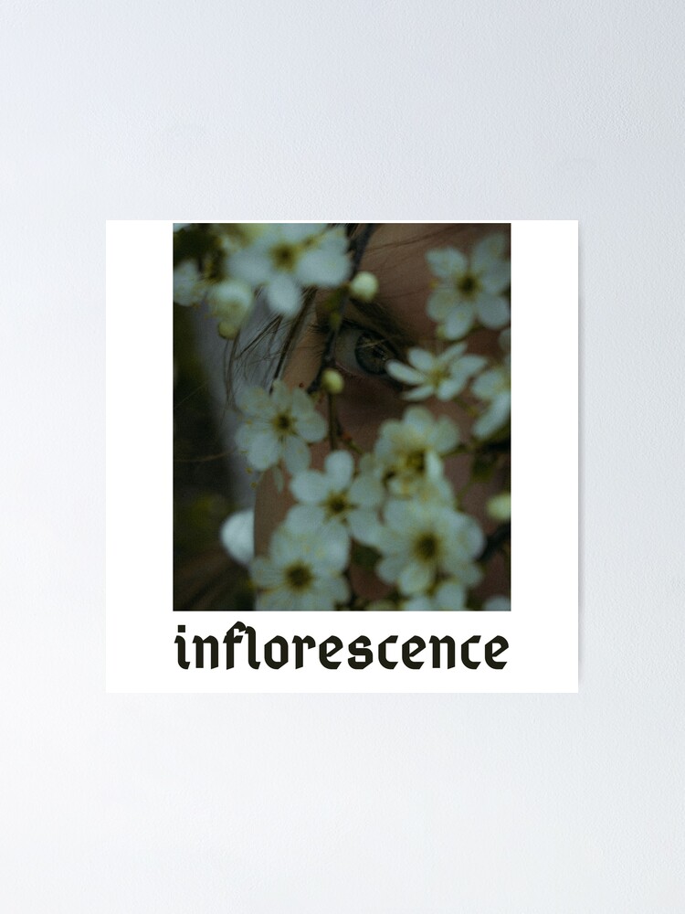 "Inflorescence Logo & Picture" Poster by directorx27 | Redbubble