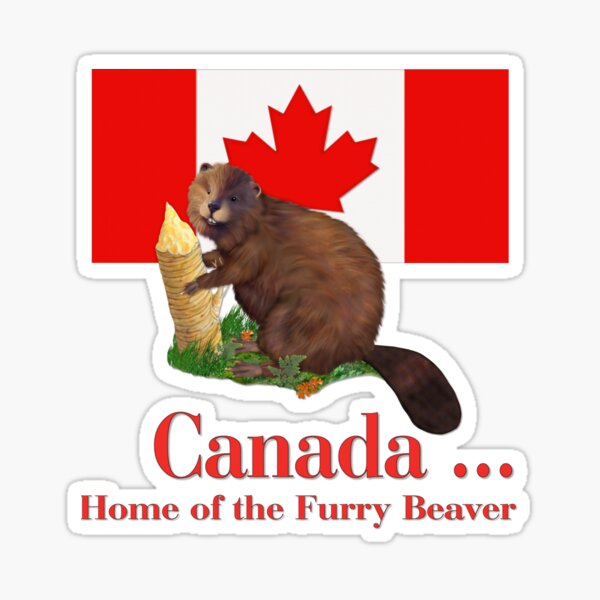 "Furry Beaver Canada" Sticker for Sale by SpiceTree | Redbubble