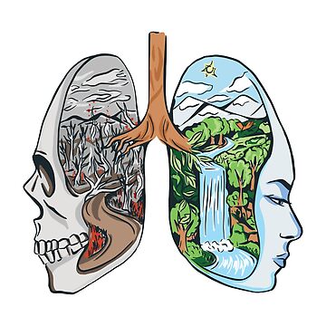 "landscape lungs" Poster for Sale by SurrealDesigns | Redbubble