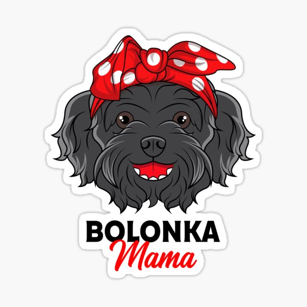 Sticker: Bolonka | Redbubble