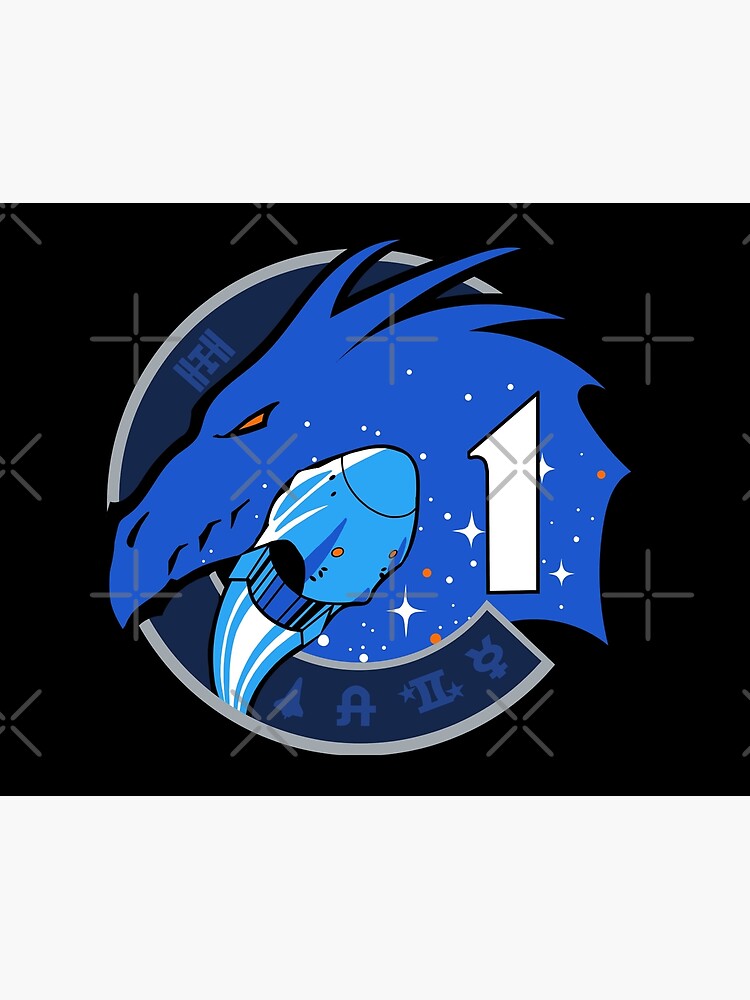 "SpaceX Crew-1 Mission Logo " Art Print for Sale by neuwirthk | Redbubble