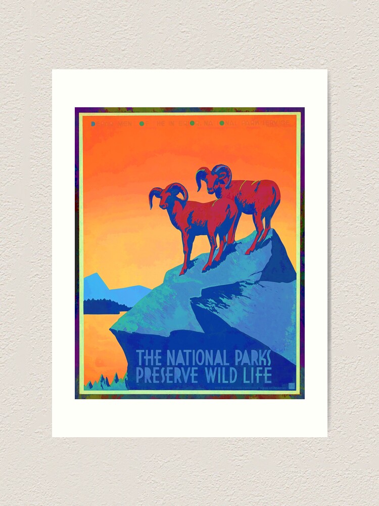 "National Parks Wild Life Poster" Art Print for Sale by peanutroaster ...
