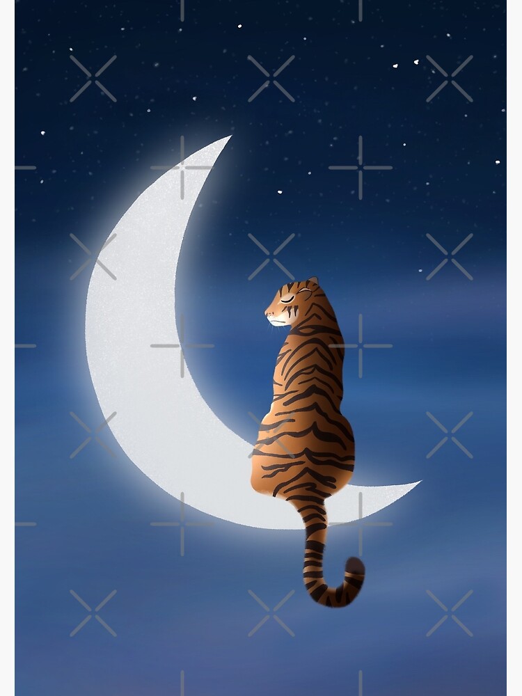 "Good Night, Tiger" Photographic Print by margaretwhiston | Redbubble