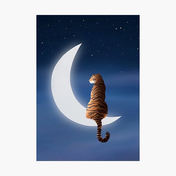 "Good Night, Tiger" Photographic Print by margaretwhiston | Redbubble