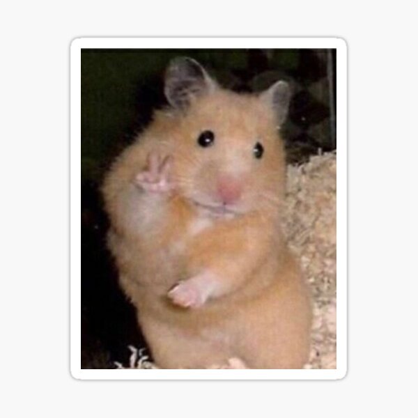 "Hamster Peace Sign Meme" Sticker for Sale by ccrosnie | Redbubble