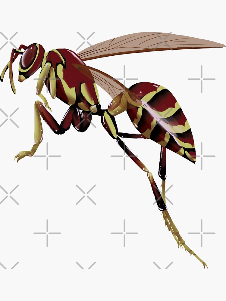 "Guinea Paper Wasp (Polistes exclamans) Digital Painting" Sticker by ...