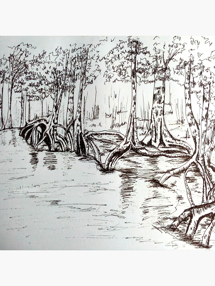 "Simple Mangrove Drawing" Photographic Print for Sale by WeyaMarisol ...