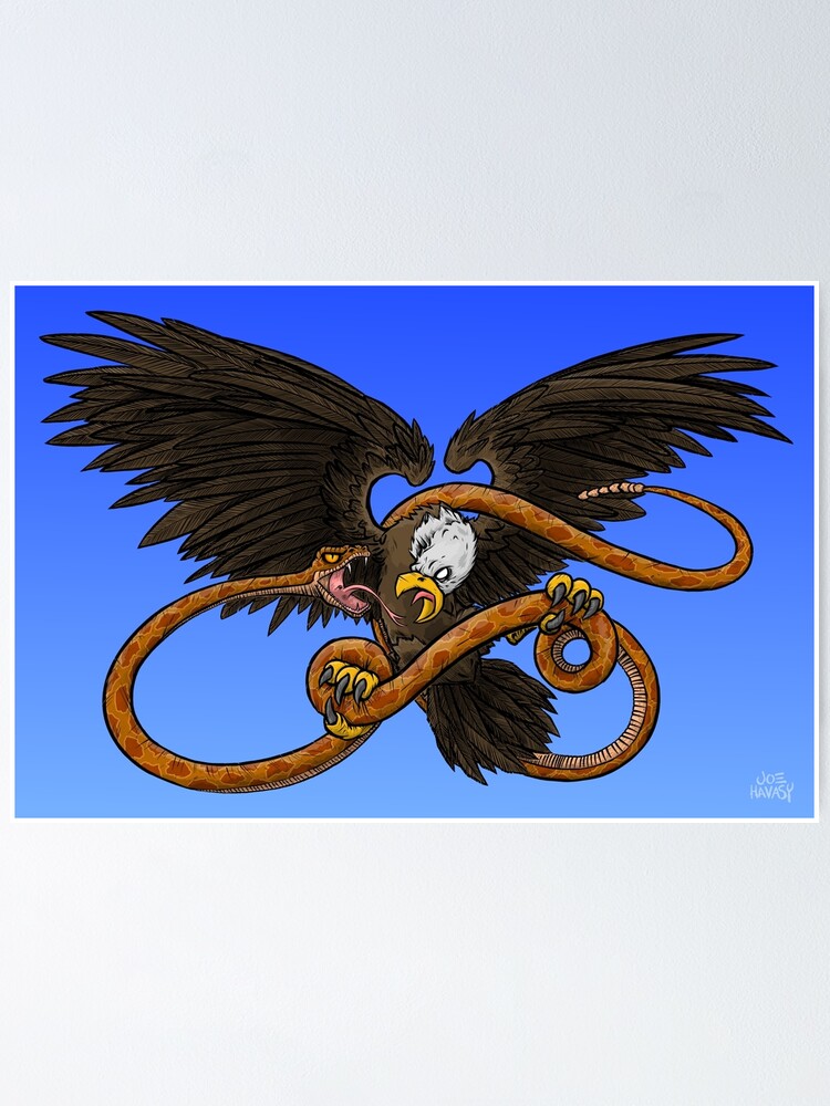 "Bald Eagle Vs. Rattlesnake" Poster for Sale by joehavasy | Redbubble