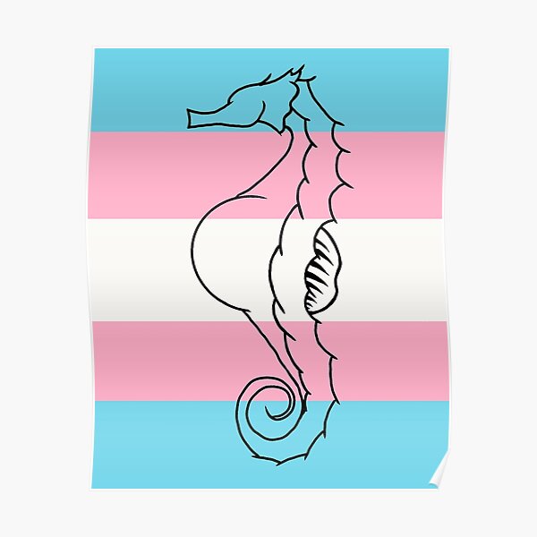 "Daddy seahorse with trans flag background" Poster by DcmBaby | Redbubble