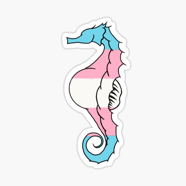 "Daddy Seahorse with trans flag colors" Sticker for Sale by DcmBaby ...