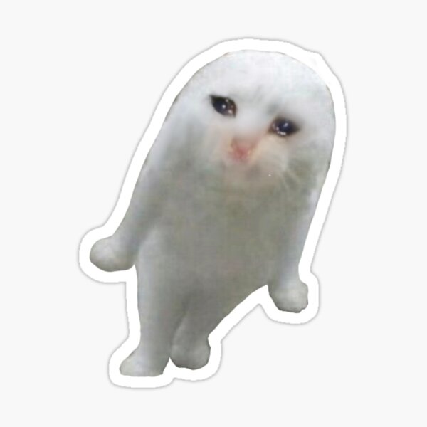 "Cat memes" Sticker by cutestickers333 | Redbubble