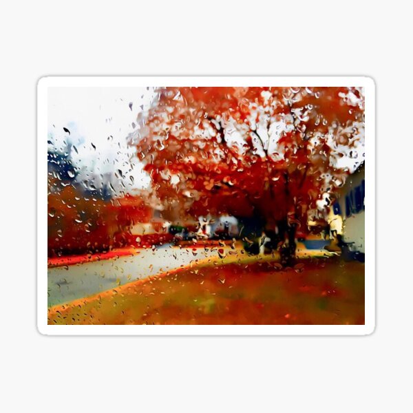 "Rainy Japanese Maple Tree" Sticker by DNiceGirl | Redbubble