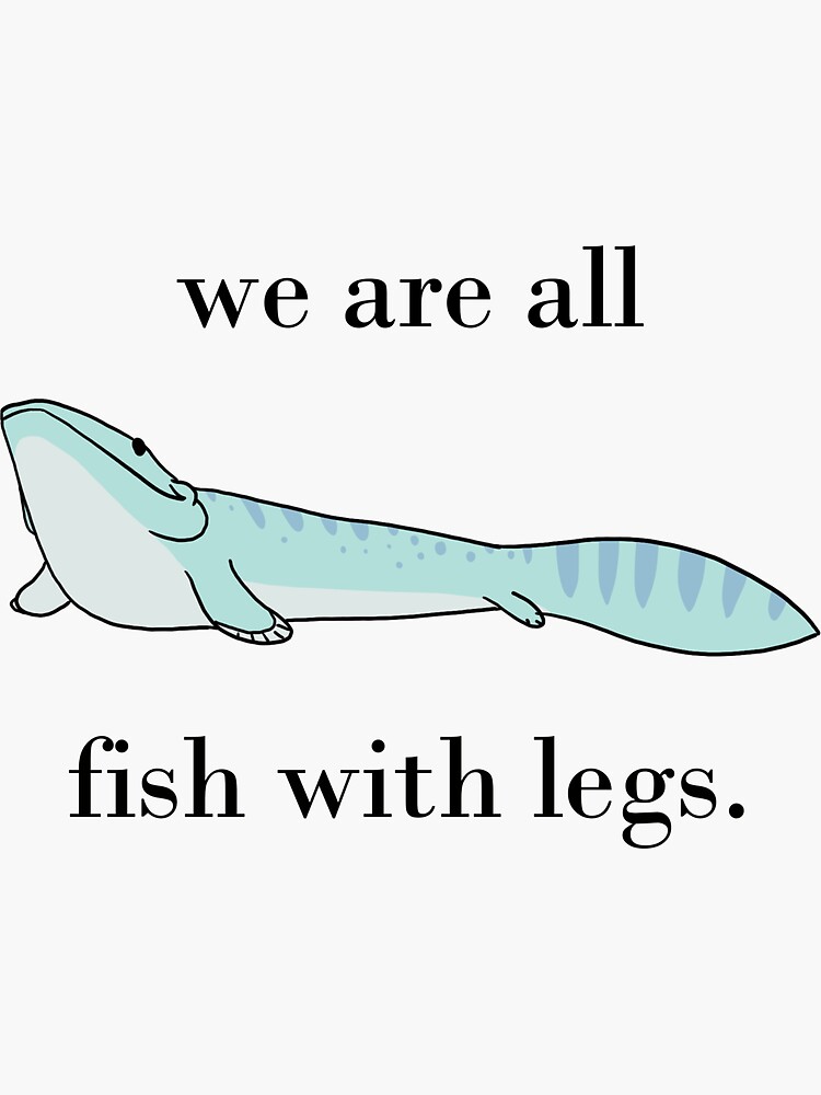 "We are all fish with legs" Sticker for Sale by AlessioCiaffi | Redbubble