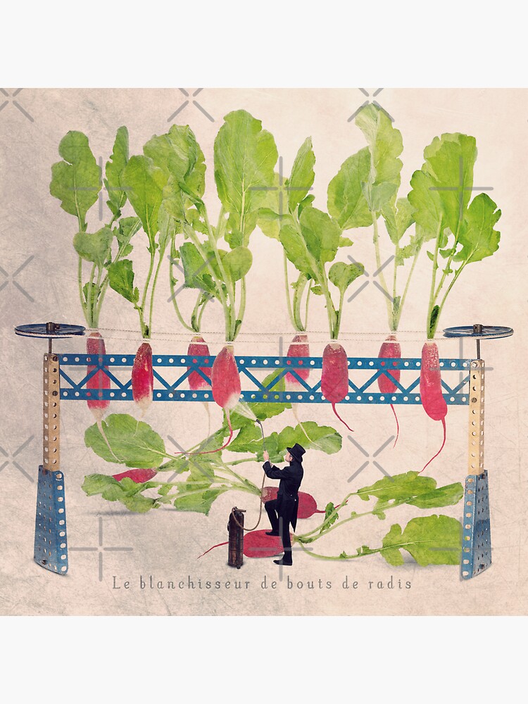 "radish print" Sticker by yannpendaries | Redbubble