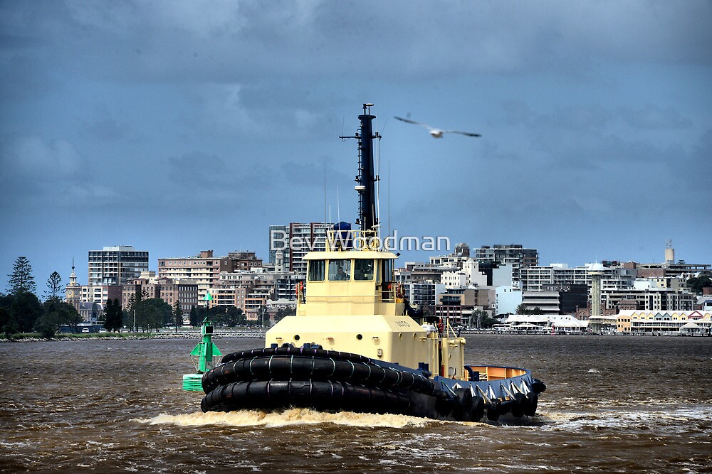 "WATO TUG BOAT - NEWCASTLE HARBOUR NSW AUSTRALIA" by Bev Woodman ...
