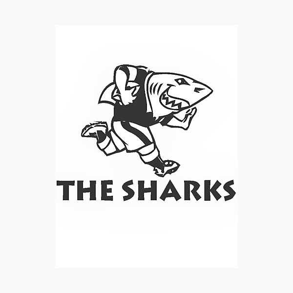 "NATAL SHARKS FOR LIGHT SHIRTS SOUTH AFRICA RUGBY SUPER RUGBY ...