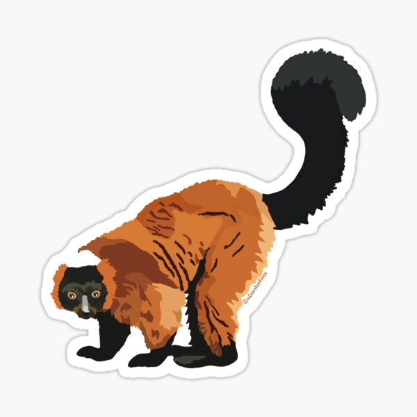 Lemur Gifts & Merchandise for Sale | Redbubble