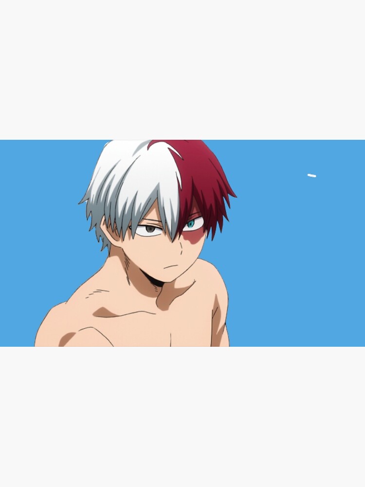 "pool todoroki" Art Print by adrianadn | Redbubble