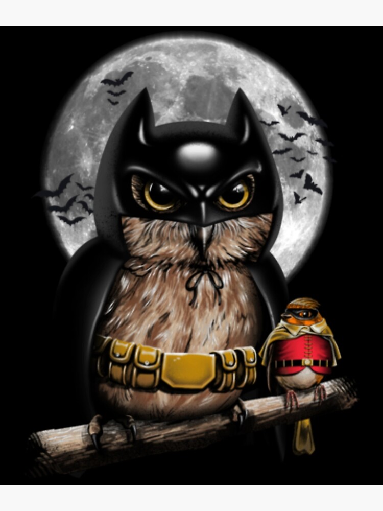"Knight Owl" Poster for Sale by LiqueFanarts | Redbubble