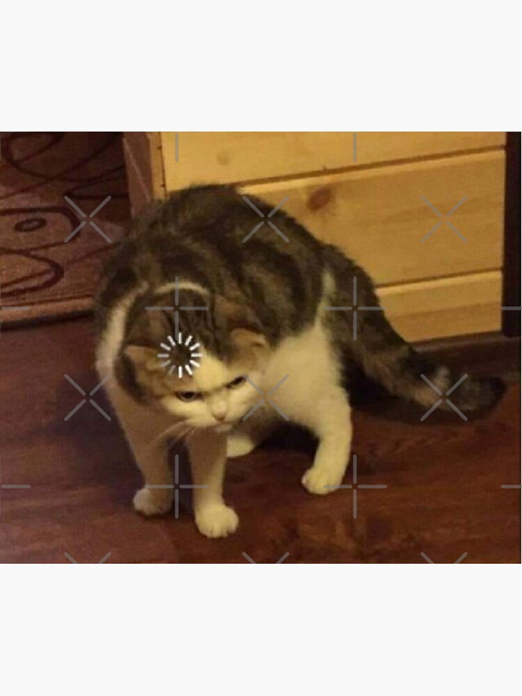 "loading cat meme" Sticker for Sale by omarsoliman | Redbubble