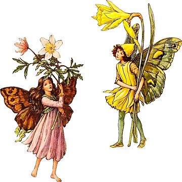 "fairycore pack" Sticker for Sale by Anjellyc | Redbubble