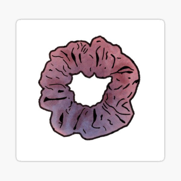 "aesthetic scrunchie " Sticker by chastinn06 | Redbubble