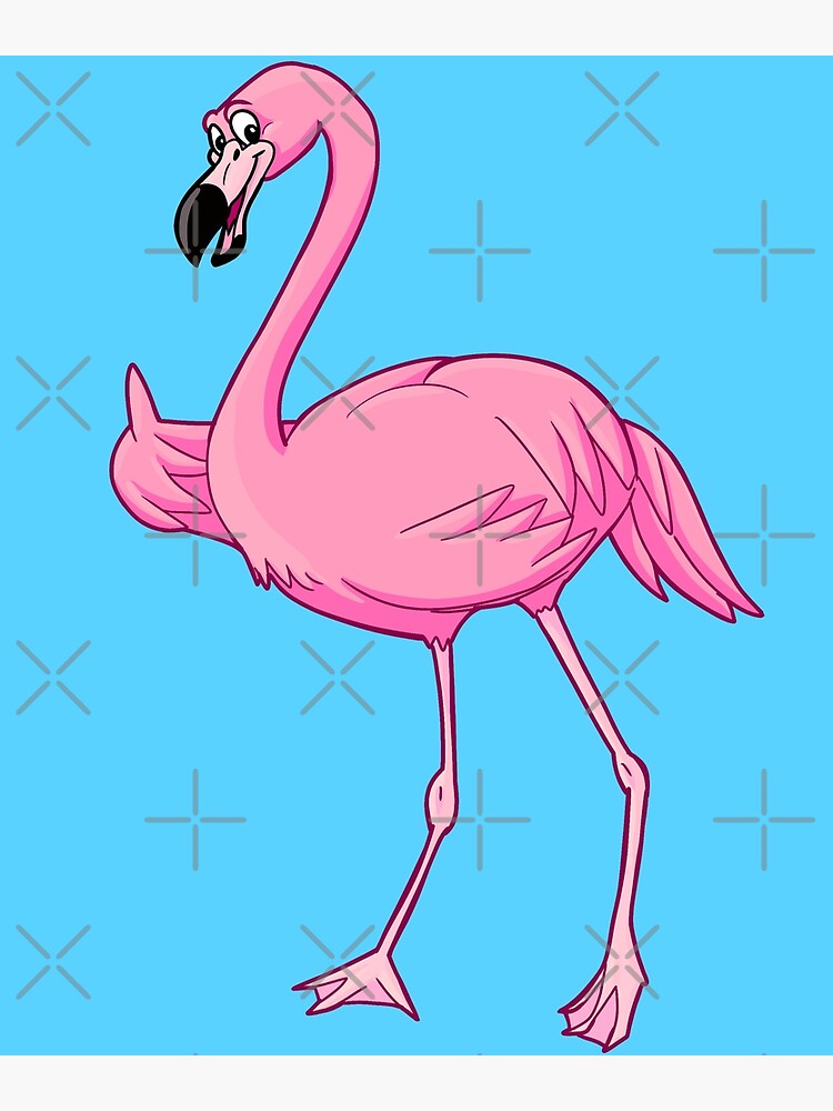 "Happy flamingo" Photographic Print for Sale by Mehu | Redbubble