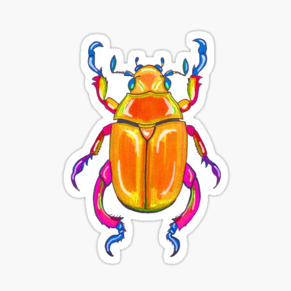 "Scarab - orange beetle" Sticker by Katie-Holland | Redbubble