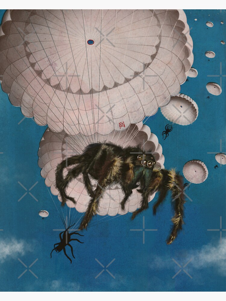 "Parachute Spiders" Sticker for Sale by Artofolly | Redbubble