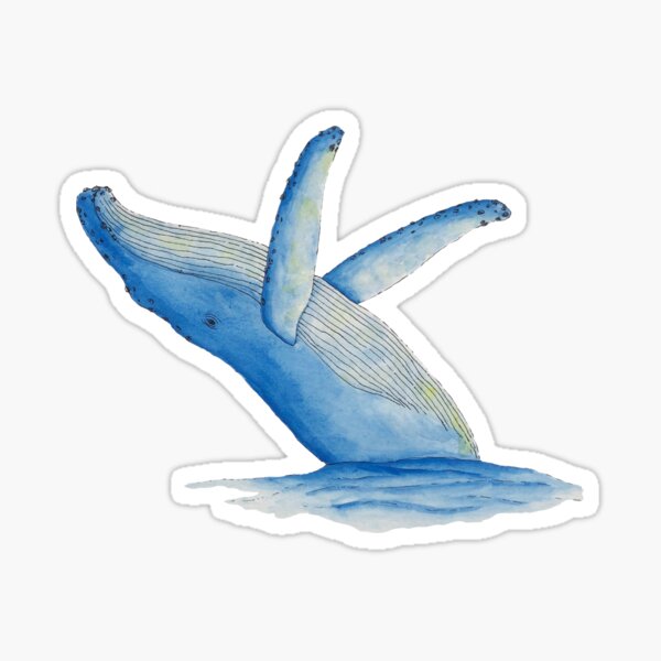 "Breaching Watercolor Humpback Whale" Sticker for Sale by JediMaster5 ...