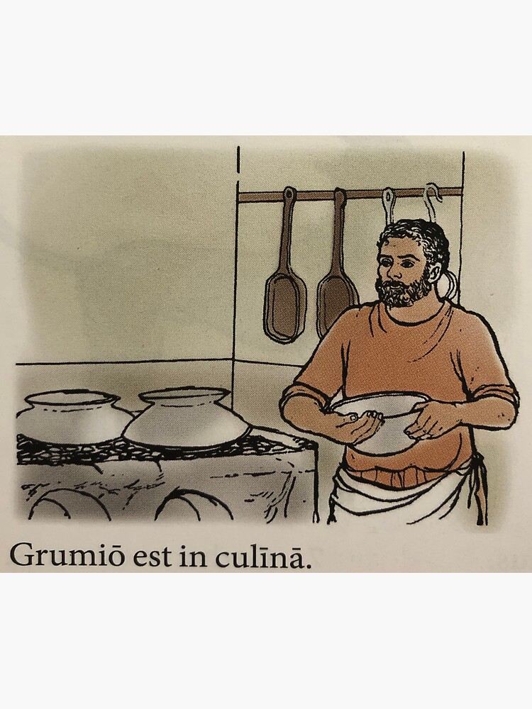 "Grumio est in culina" Sticker for Sale by rrhiannon | Redbubble