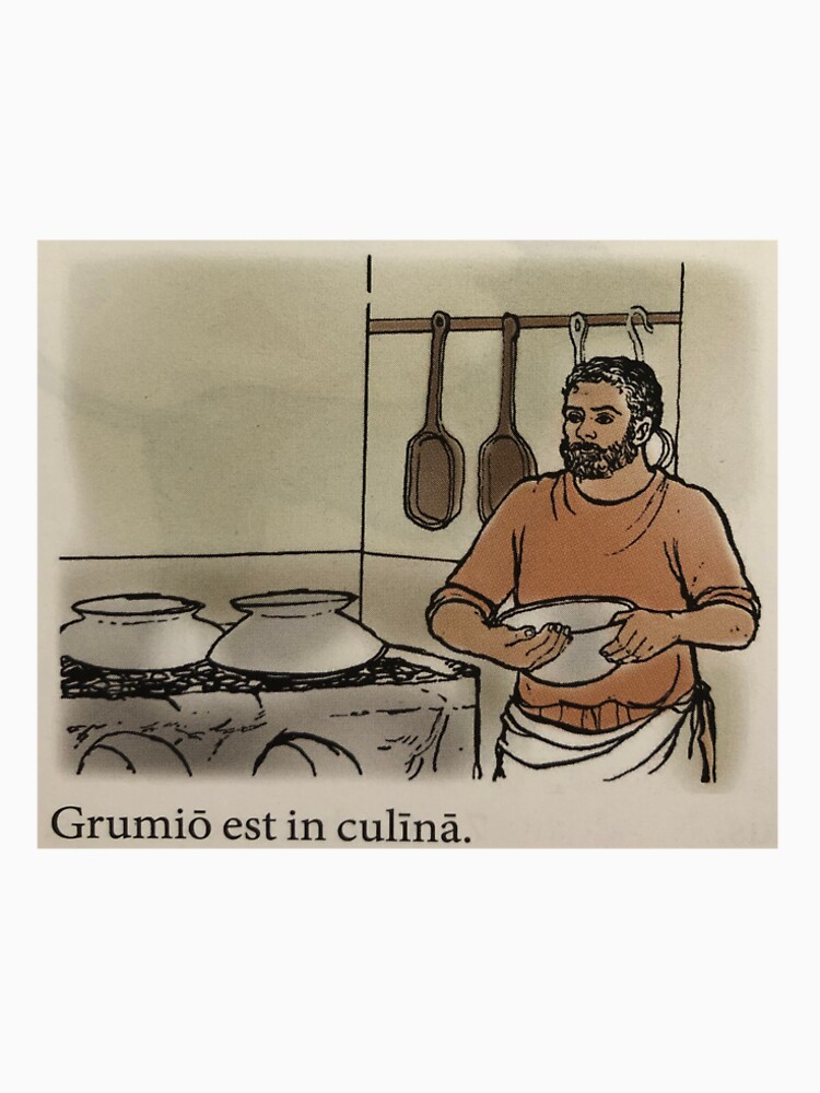 "Grumio est in culina" T-shirt for Sale by rrhiannon | Redbubble ...